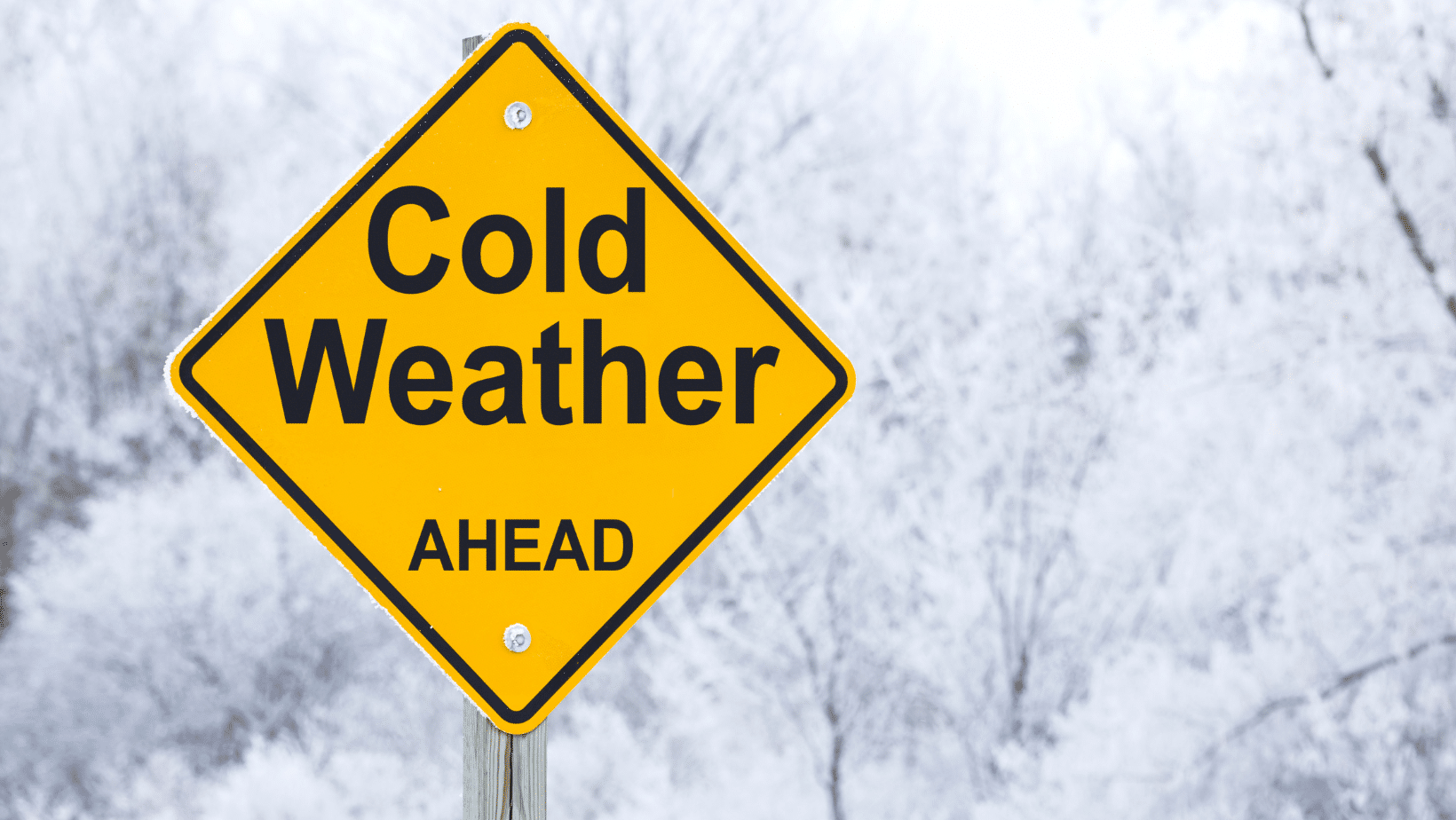 City of Trenton Opens Code Blue Warming Centers January 23-27, 2026 ...